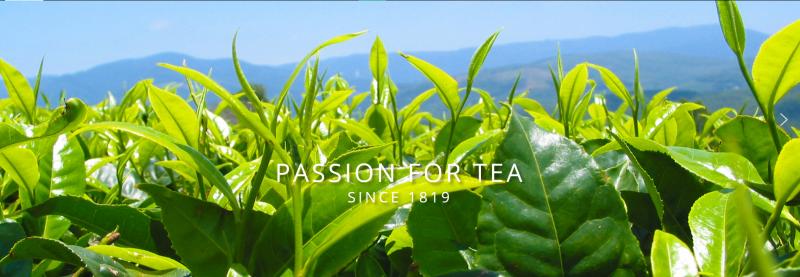 UK Tea & Infusions Association - The Tea Directory